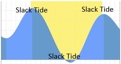 Crab Clinic … Everything you wanted to know about Crabbing, and you ...